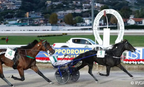 Lotteria: solo un Campione del Mondo e si chiama ZACON GIO ...