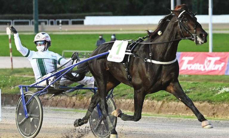 Nazioni, Zacon Gio vs Vivid Wise As ma attenzione agli stranieri, l ...