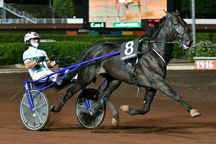 Ponte Vecchio con il rientro del Campione del Mondo Zacon Gio, l ...