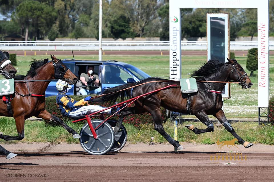 Quinto successo consecutivo (in 1.12.4) per Barbablu pronto al salto in ...