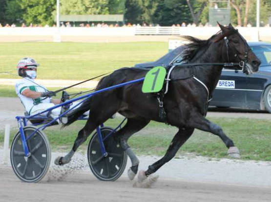 Grassetto con il rientro del Campione del Mondo Zacon Gio, l’analisi ...