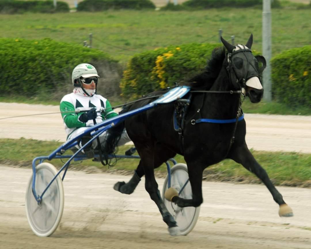 Dylan Dog Font al record della generazione in pista piccola sul doppio ...