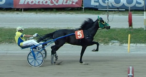 Bei successi di Dylan Dog Font a Bologna e di Don King Muttley a ...