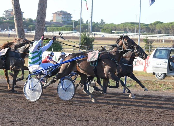 Turilli, lo speed di Bleff Dipa, accoppiata di Ehlert con Zacon Gio ...