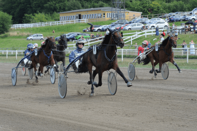 HELENA DD COME, QUANDO E DOVE VUOLE | VendoPuledri.it