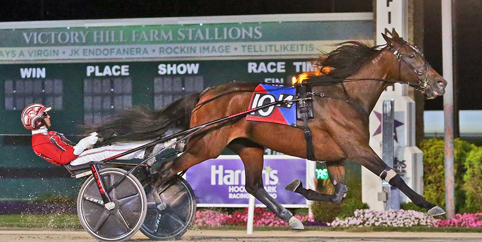 BELLA BELLINI SHOW E TANTO ALTRO | VendoPuledri.it