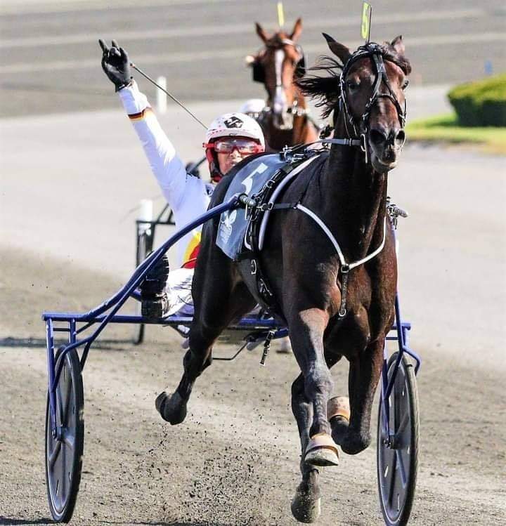 INTERNATIONAL TROT SECONDO I NUMERI | VendoPuledri.it