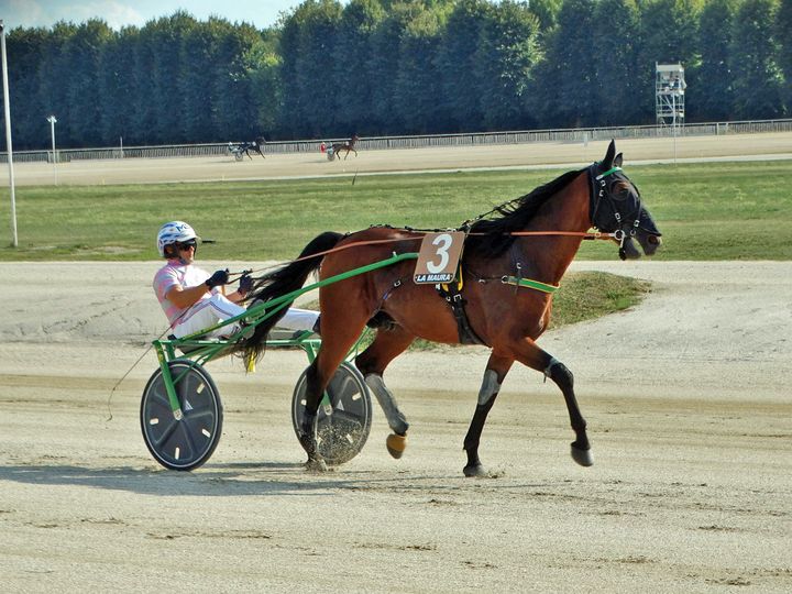Criterium Romano Maschi con il potente Explosive Axe, l’analisi uno ad ...