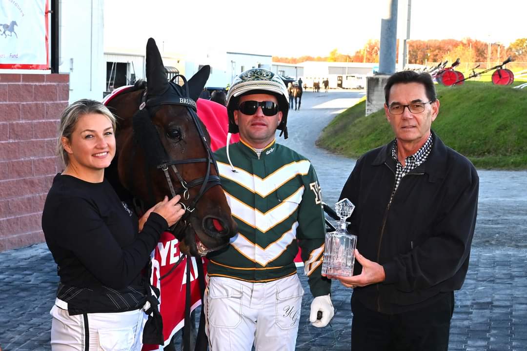 MATRON STAKES CON BRUNELLA | VendoPuledri.it