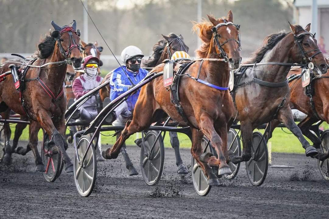IL TROTTO MONDIALE PIANGE GALIUS | VendoPuledri.it