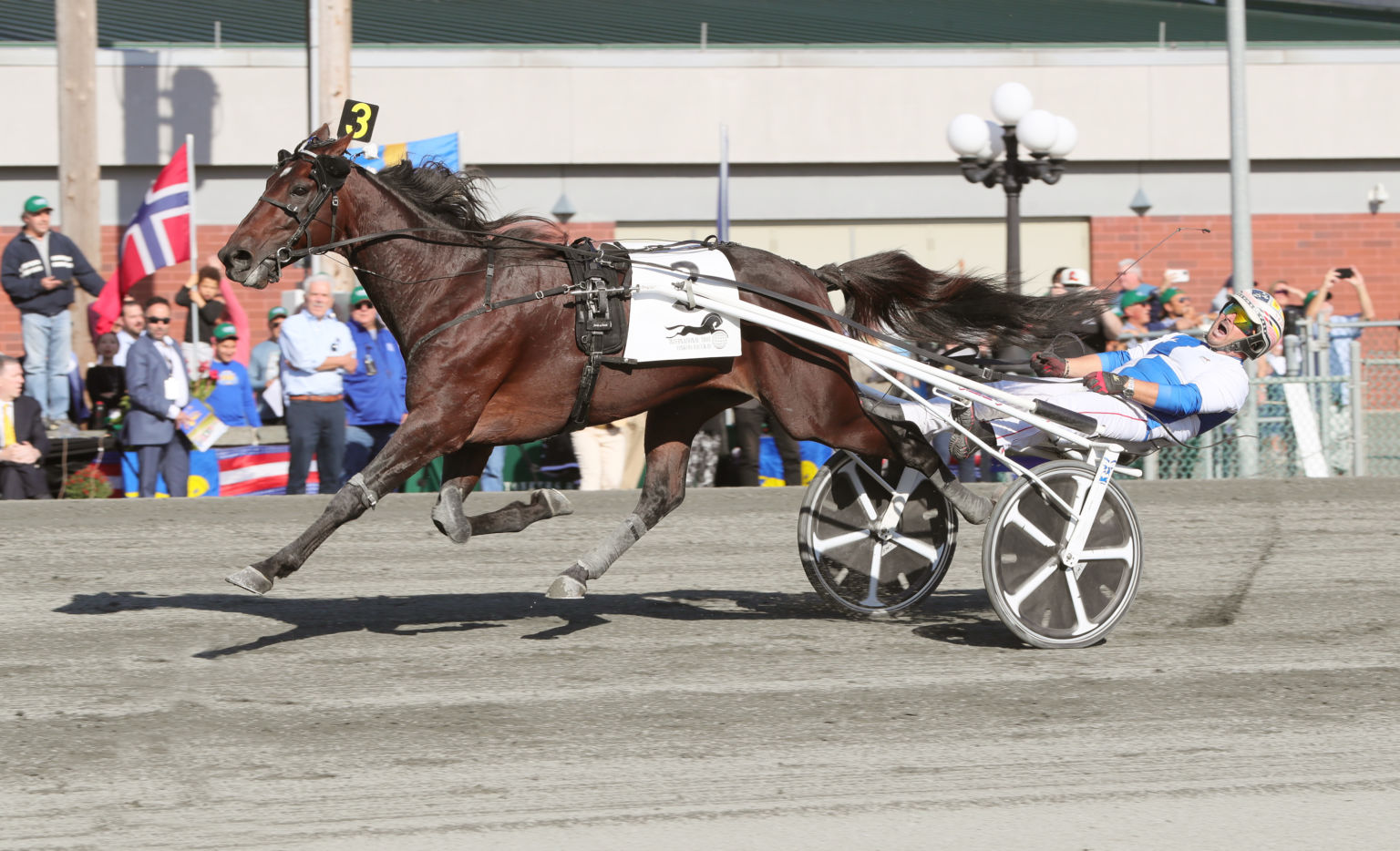 I segnalati (46) al Palio dei Comuni tra i quali Cokstile, Zacon Gio ...