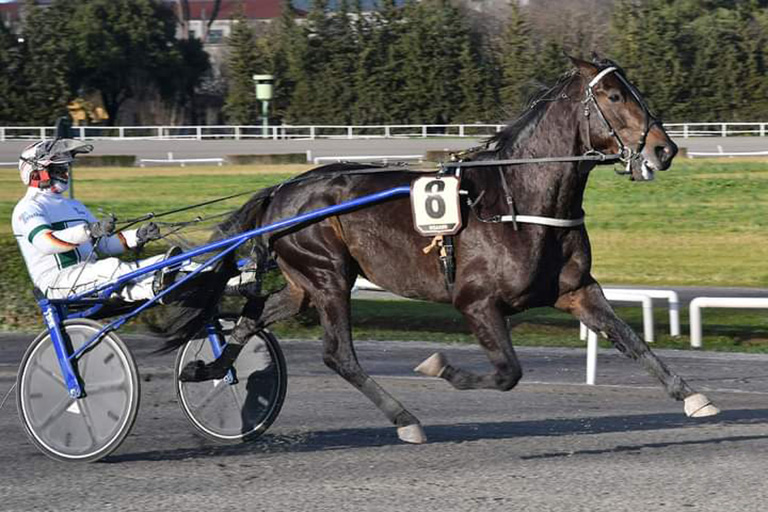 ZACON GIO A NOCETO | VendoPuledri.it