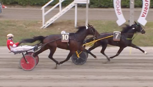 Trinacria, Dylan Dog Font al primo successo classico allo scoperto al ...