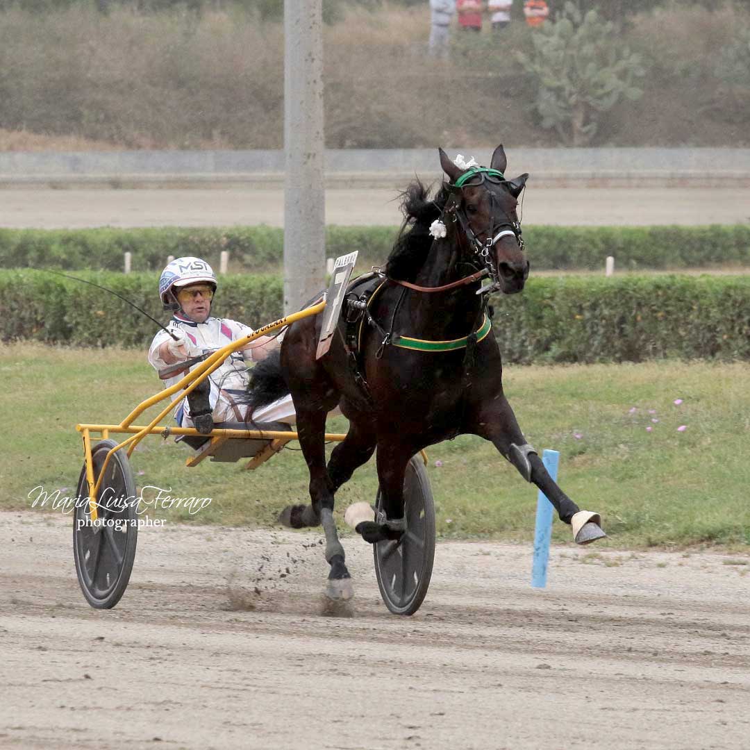 Trinacria, Dylan Dog Font al primo successo classico e al record della ...