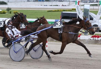 Presidente della Repubblica “rosa” con Dilva Jet e Due Italia, l ...