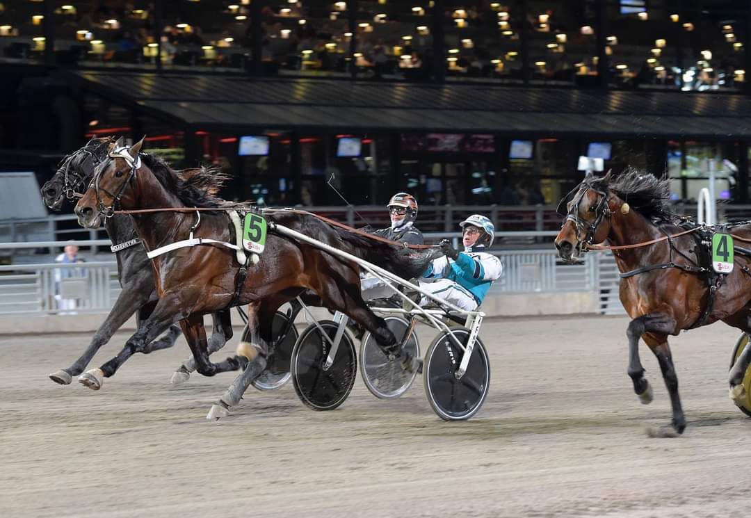 HAIL MARY DA CAVALLO SUPERIORE | VendoPuledri.it