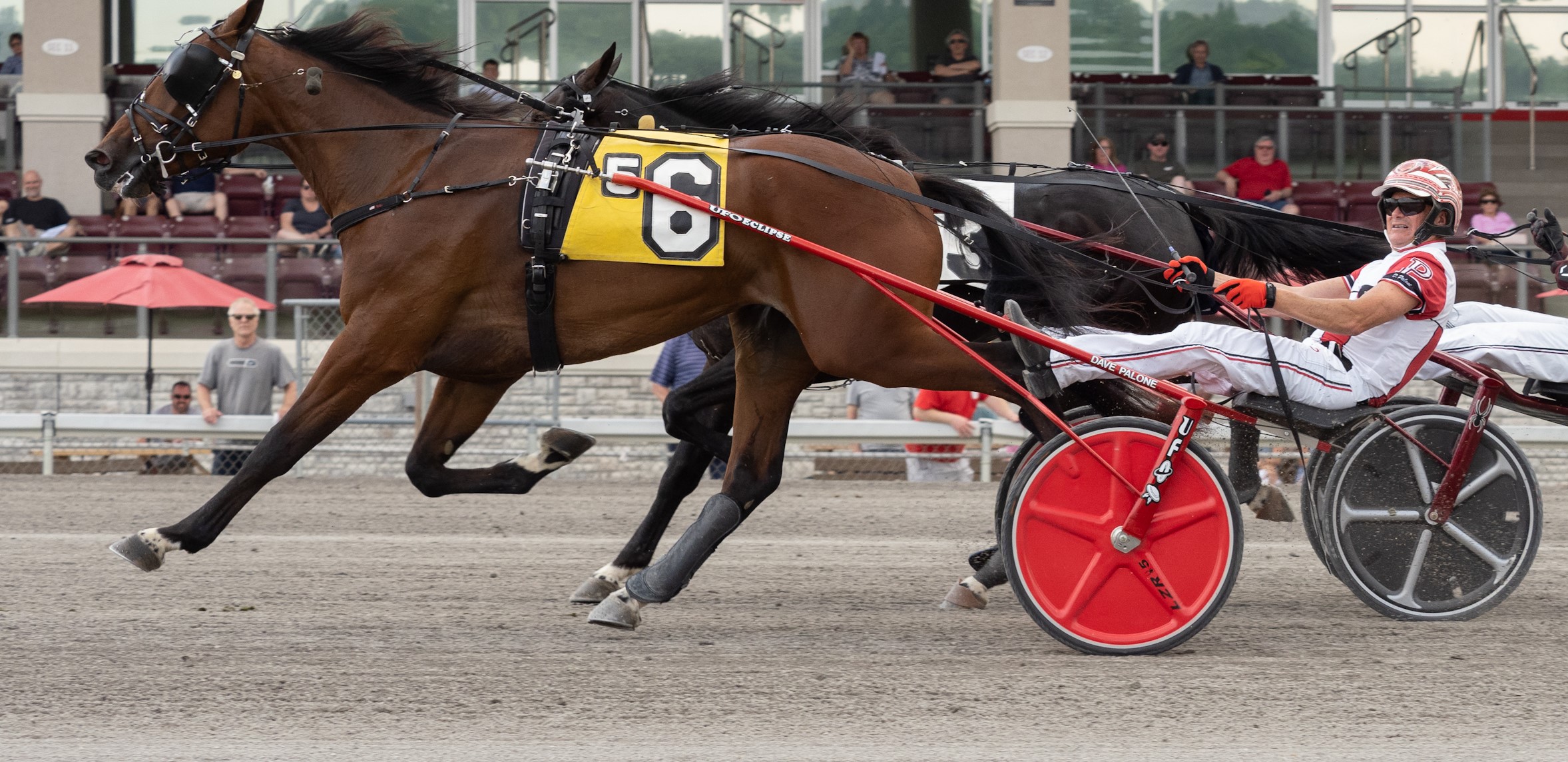 DIVISIONI DELLE PASS PER BUONI TRE ANNI | VendoPuledri.it