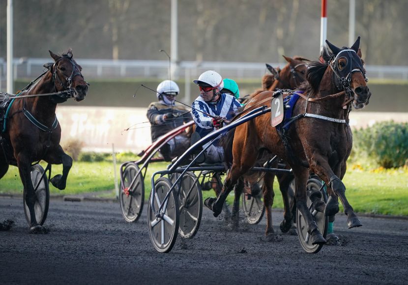 HORSY DREAM COME E DOVE VUOLE | VendoPuledri.it