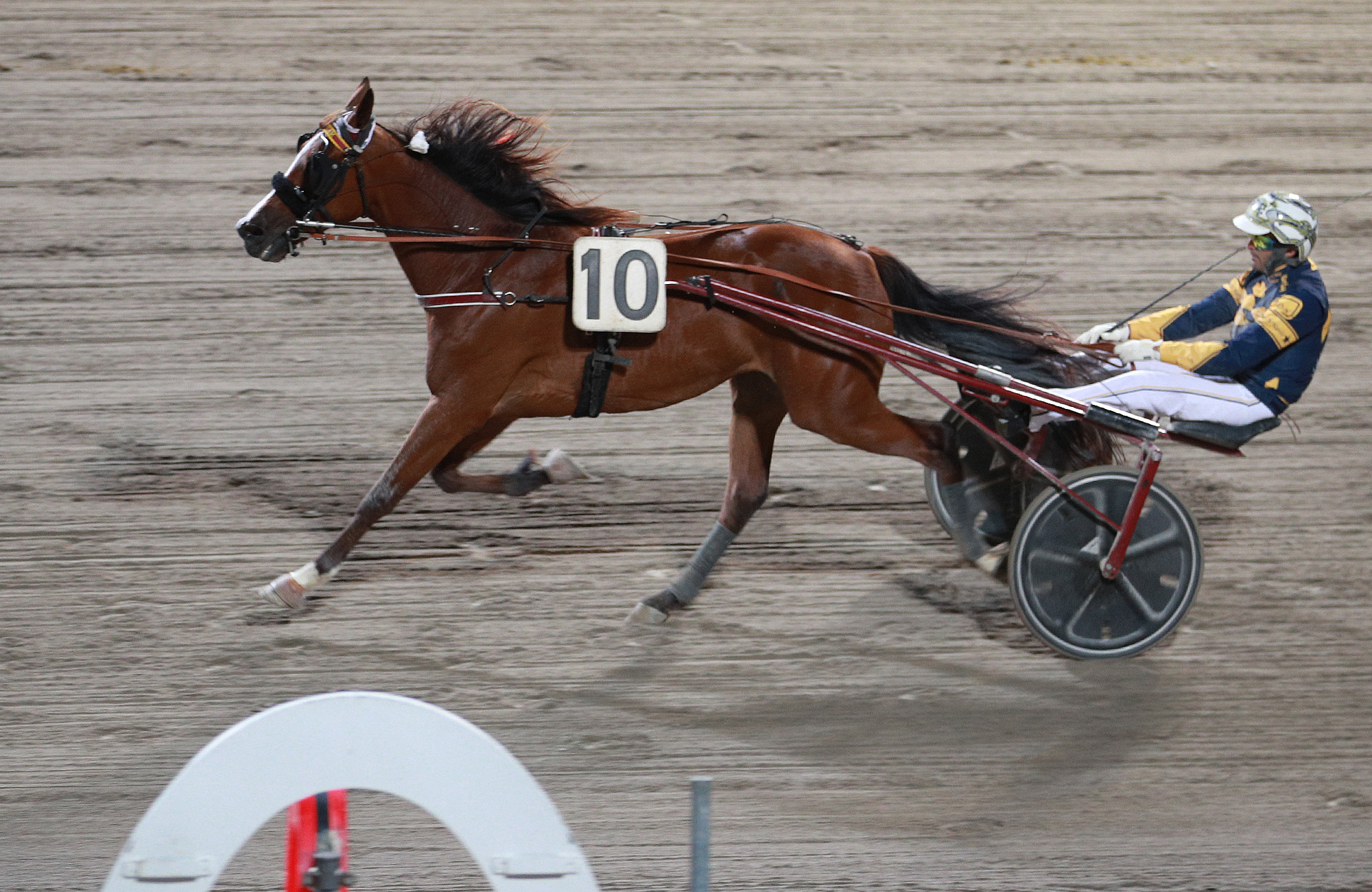Prima batteria Palio dei Comuni, Akela Pal Ferm vs Jimmy Ferro Br con ...