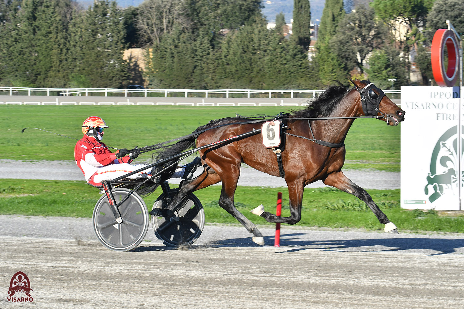 I numeri del Giovanardi, al 12 Falco Killer Gar, all’1 Felipe Roc, al 6 ...